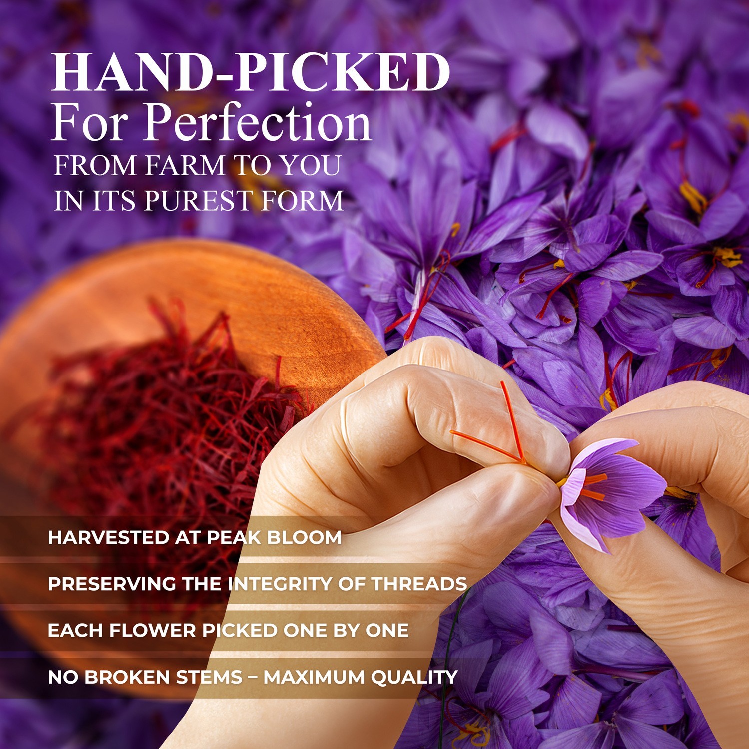 Premium Persian Saffron Threads | 5g Super Negin Grade
